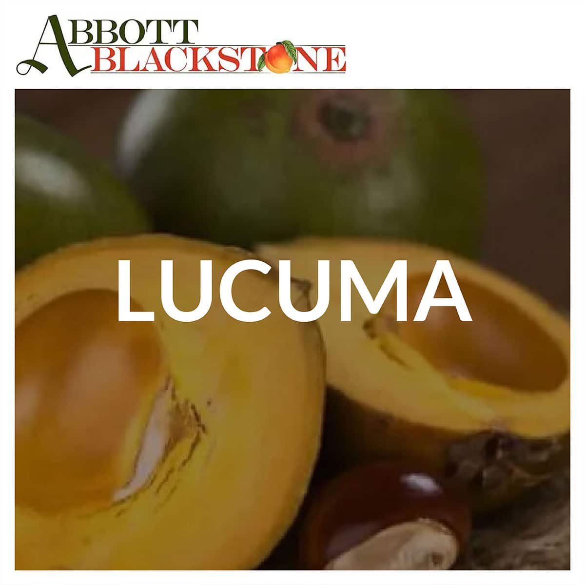 Bulk Importer And Supplier Of Lucuma Powder