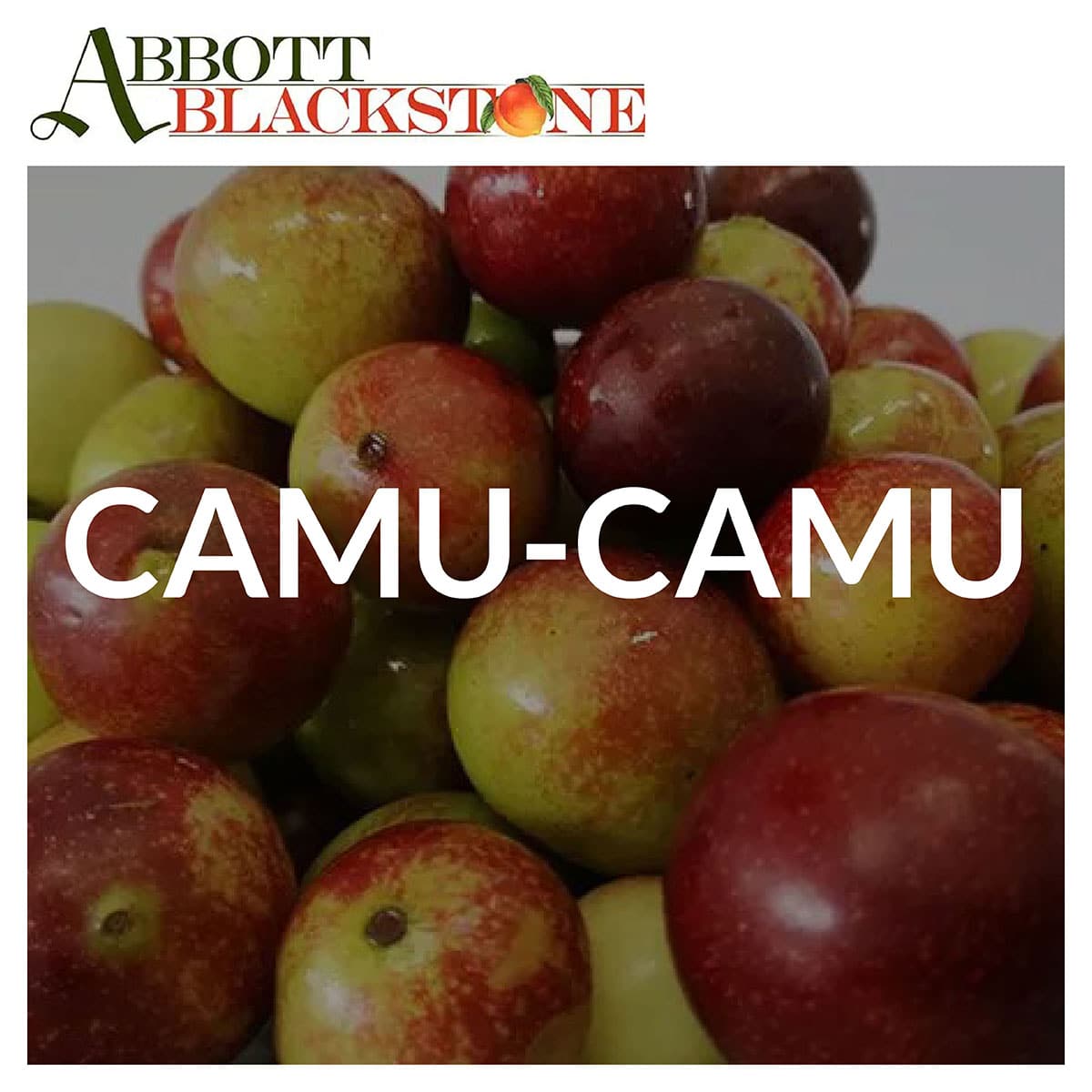Bulk Importer And Supplier Of A Camu Camu Powder